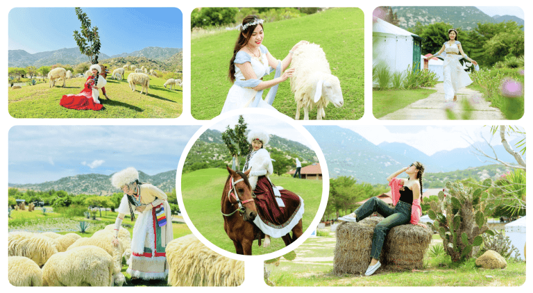 THAM QUAN TANYOLI_ENTRANCE TICKET - KHU DU LỊCH TRẢI NGHIỆM TANYOLI